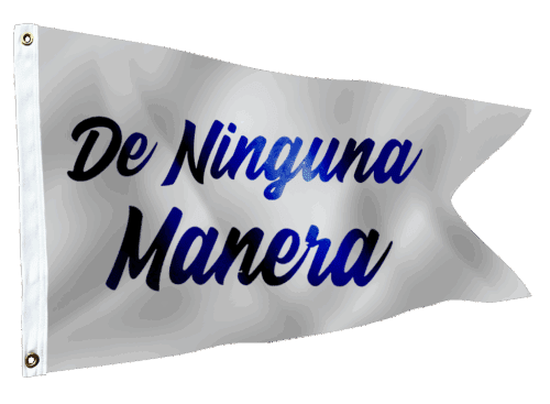 Custom Burgee Flags for Yachts, Sailing & Clubs | FlagStride