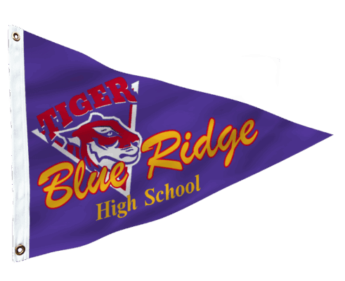 Custom Pennant Flags to Showcase Your Unique Spirit