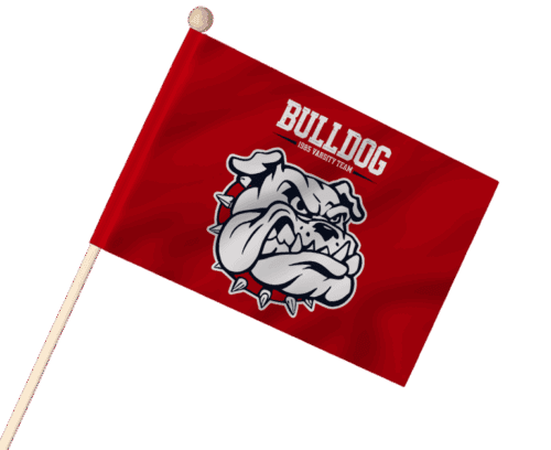 Custom Handheld Stick Flags (Set of 12) – Personalized Mini Flags